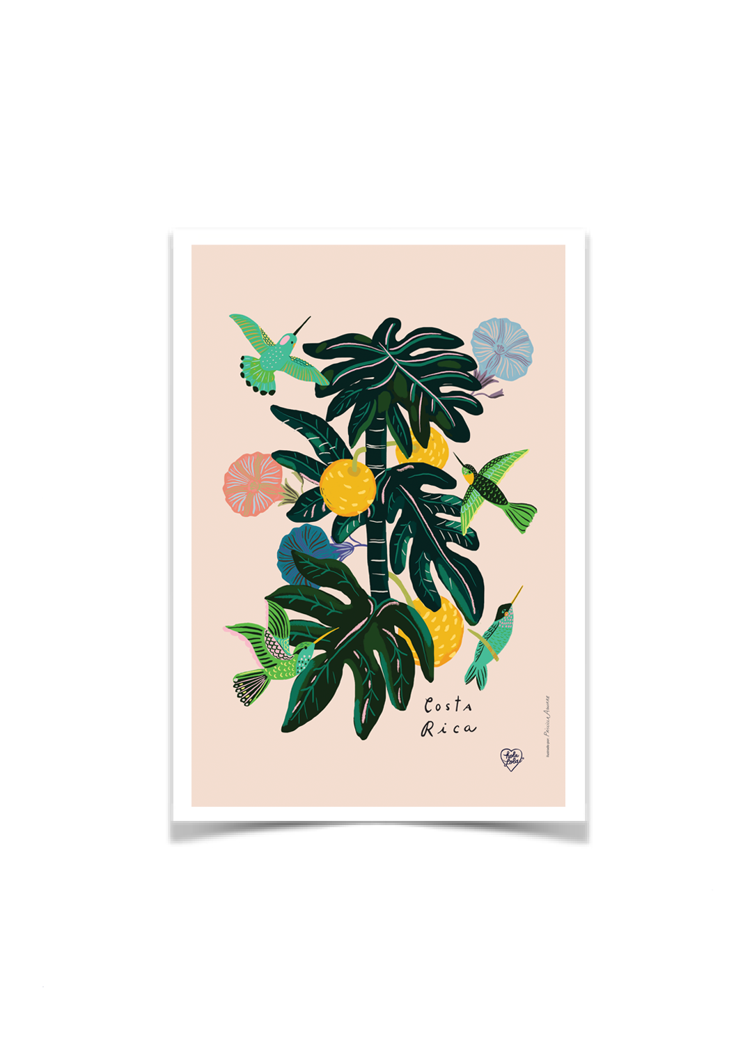 Fruta de pan Postcard – Holalola Wholesale